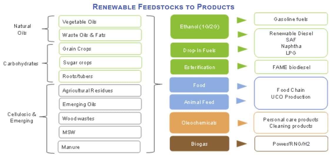 Mission critical biomass: The growing problem of low carbon intensity ...